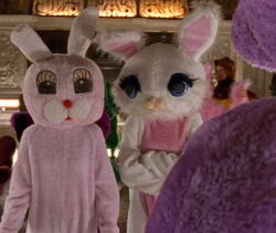 Season One | She Spies Wiki | Fandom