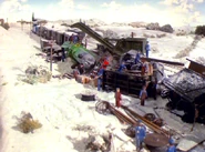 Henry | Shed 17 Wikia | Fandom