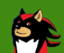 Shedew Hegehog | Shedew Hegehog Wikia | Fandom