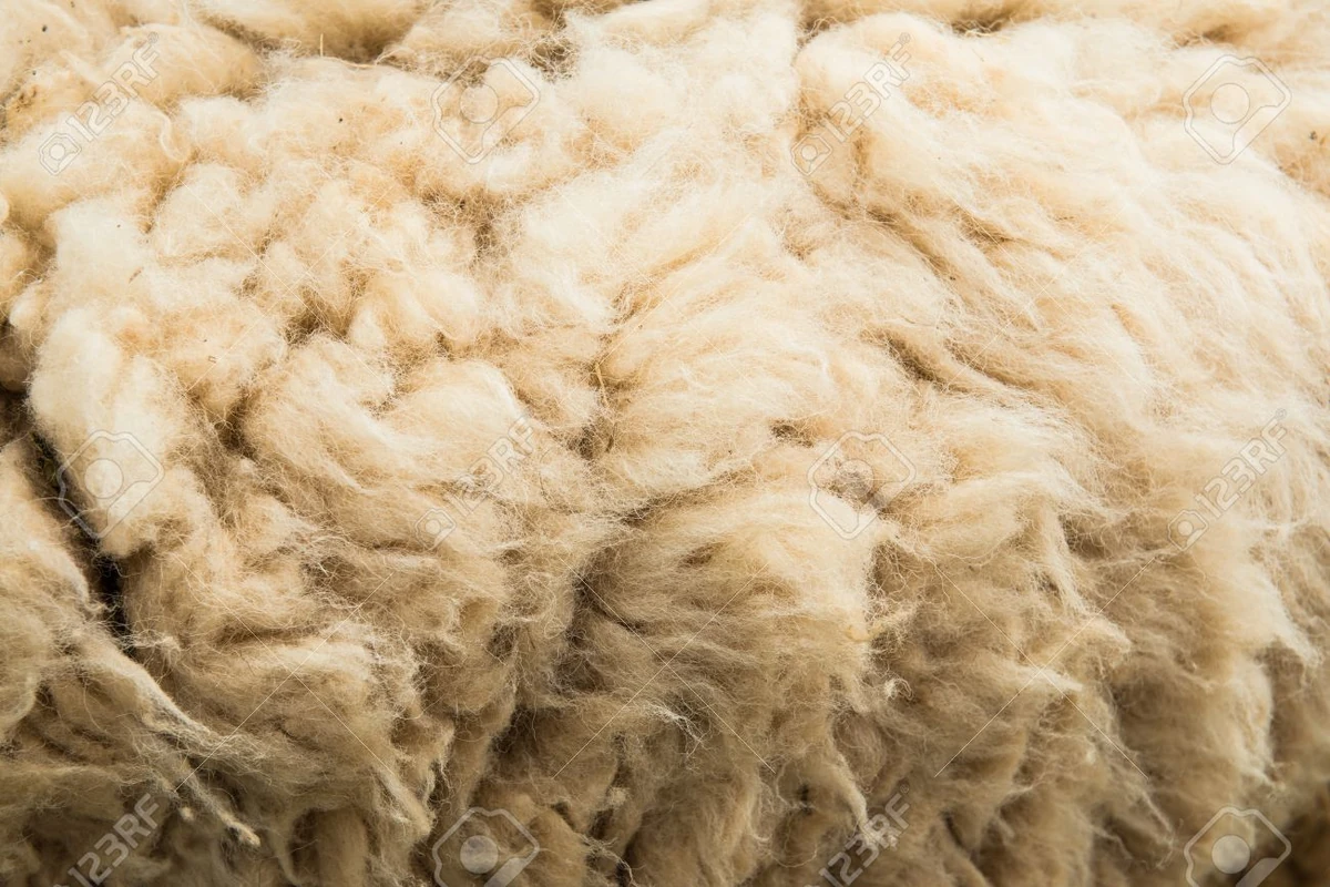 Wool | Sheep Wiki | Fandom