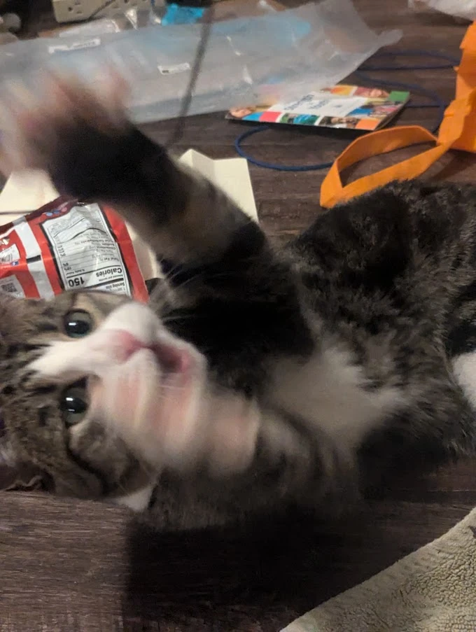 Real Life Eva | Sheer and Cody Wiki | Fandom