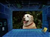 Plankton's Labrador | Sheldon plankton Wiki | Fandom