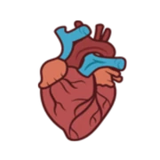 Stamp | Shell Shockers Wiki | Fandom