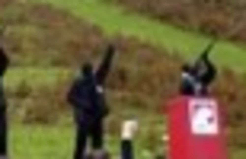 Basque Conflict | Shellcyclopedia | Fandom