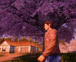 Shenmue tree | Shenmue Wiki | Fandom