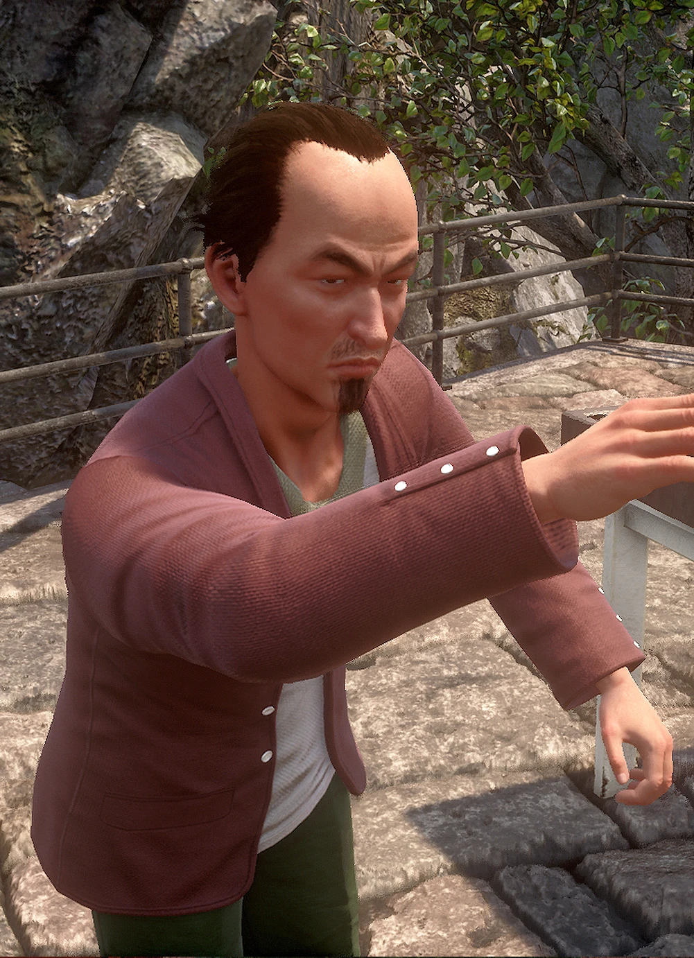 Gaoshao Hong | Shenmue Wiki | Fandom