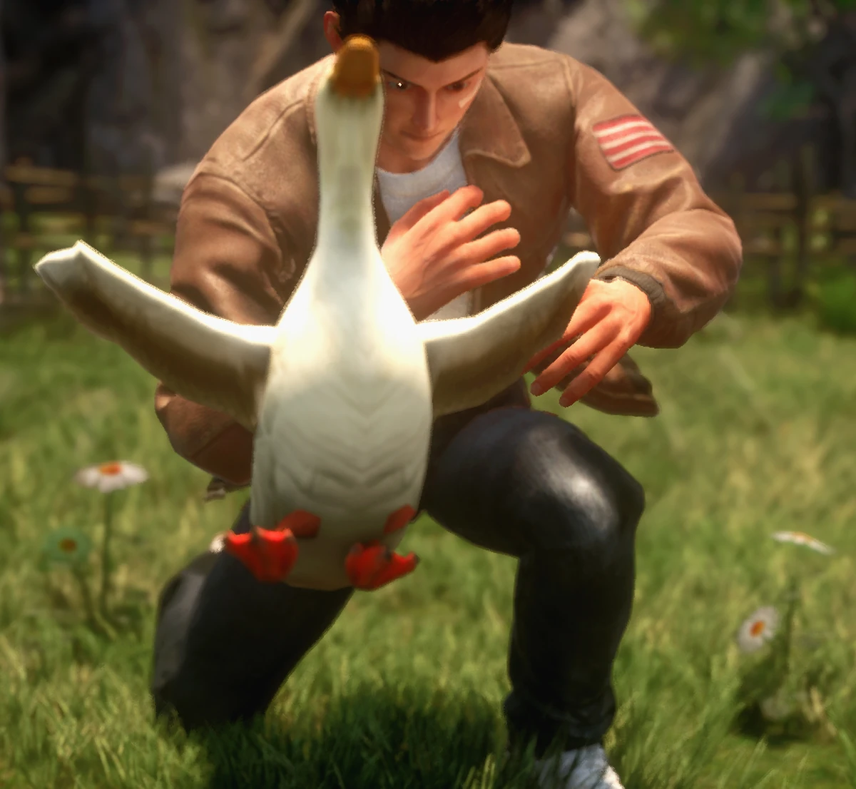 Catching Ducks | Shenmue Wiki | Fandom