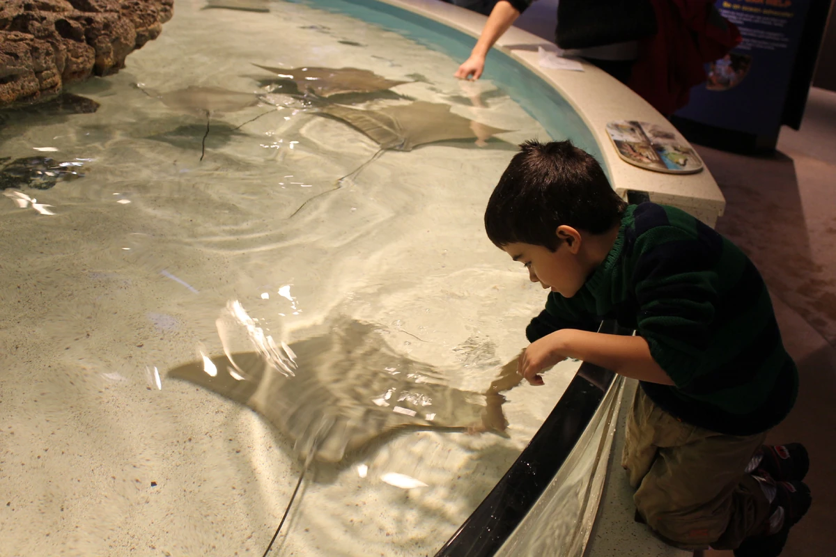 Voice thread - social learning tools | Sherrie's-learning Wiki | Fandom