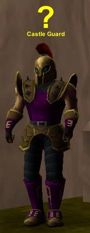 Castle Guard | Sherwood Dungeon Wiki | Fandom