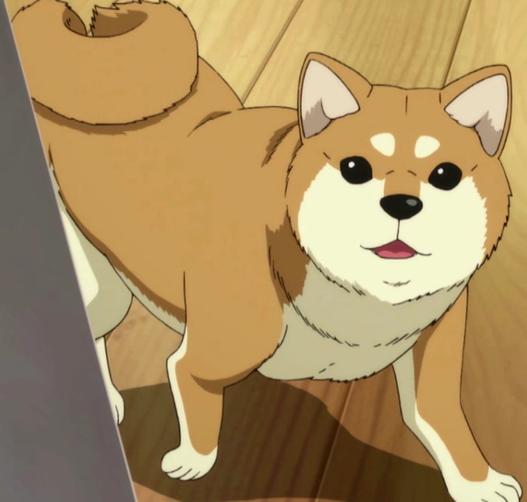 Pochi | Soul-Eater Wiki | Fandom