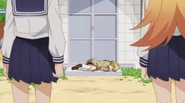 Bashame Enrolls | Shikanoko Nokonoko Koshitantan Wiki | Fandom