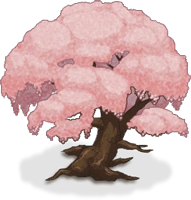 Sakura Trees | Shikigarden Wiki | Fandom