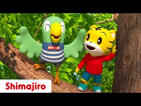Shimajiro and Flappie | Shimajiro Wiki | Fandom