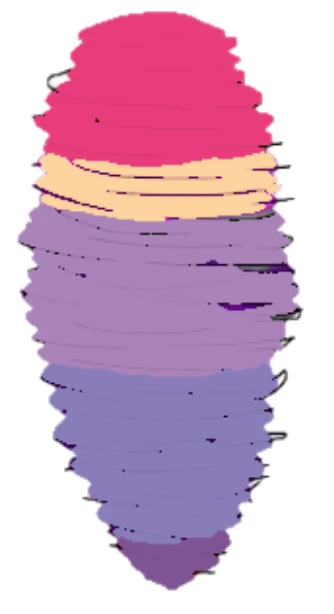 Shimmer/Gallery | Shimmerandshinefanon community | Fandom