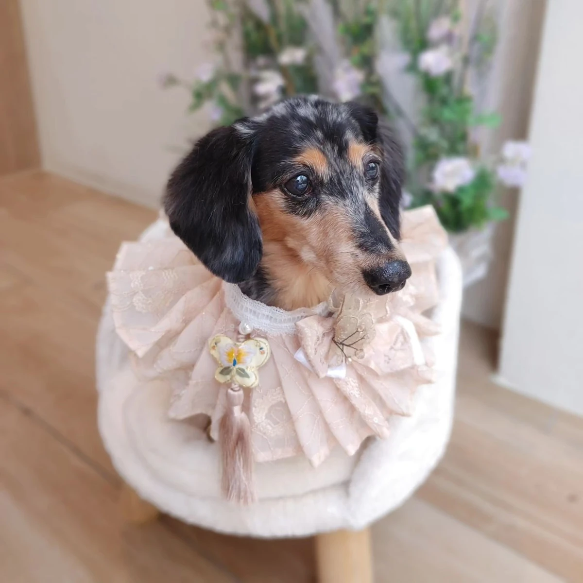 Roo | SHINee Wiki | Fandom