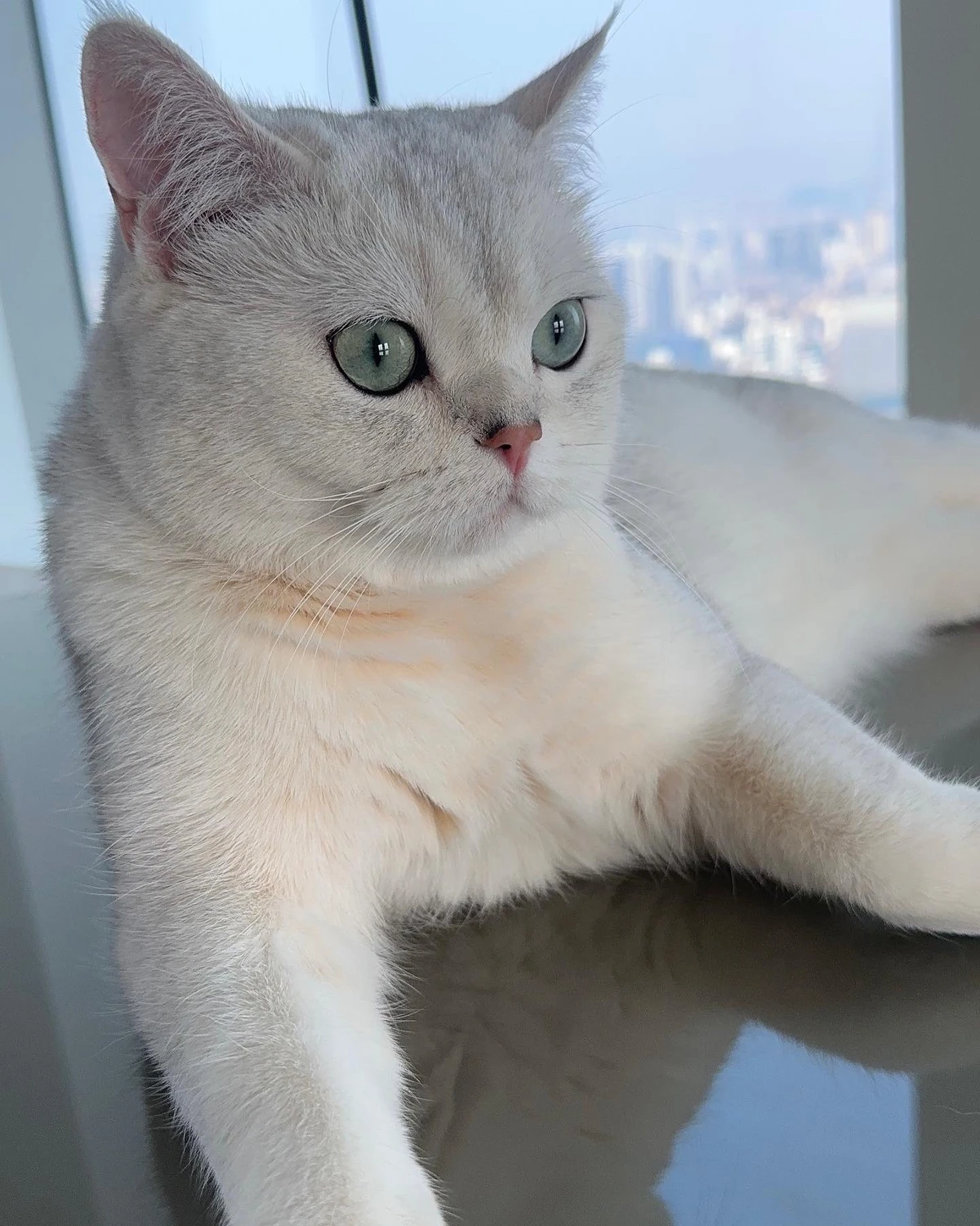 Daeng | SHINee Wiki | Fandom