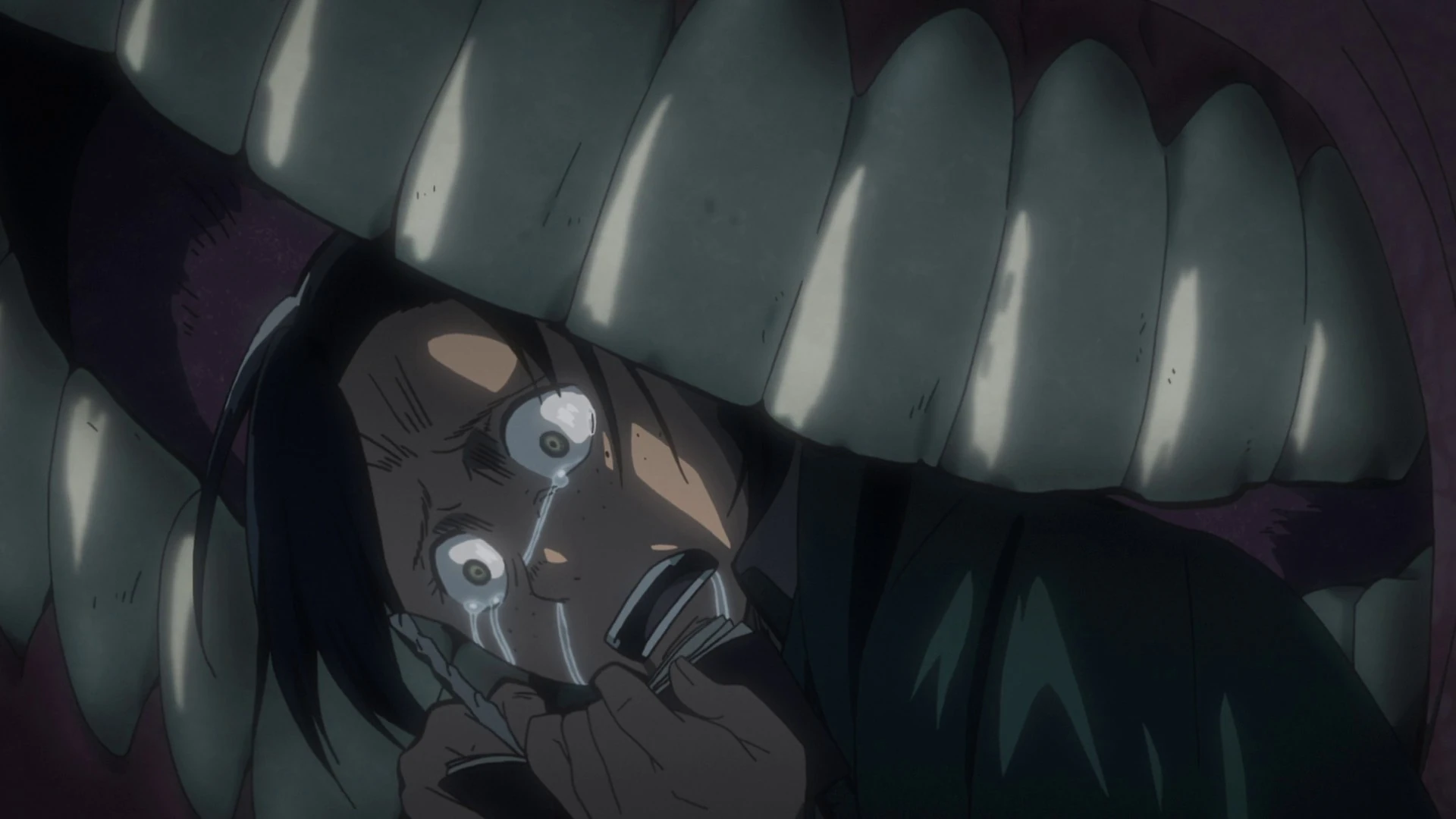 Shingeki No Kyojin Ilse