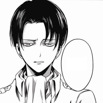 Levi (No Regrets) | Attack on Titan Wiki | Fandom