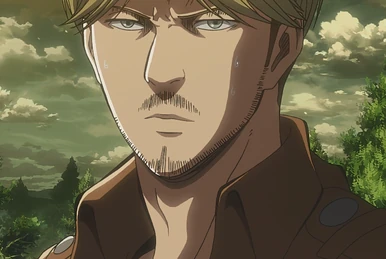 attack on titan dita