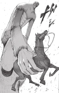 The Beast Titan | Attack on Titan Wiki | Fandom