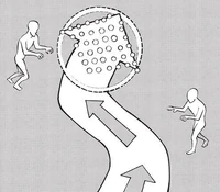 Survey Corps | Attack on Titan Wiki | Fandom