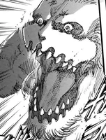 Porco Galliard/Image Gallery | Attack on Titan Wiki | Fandom