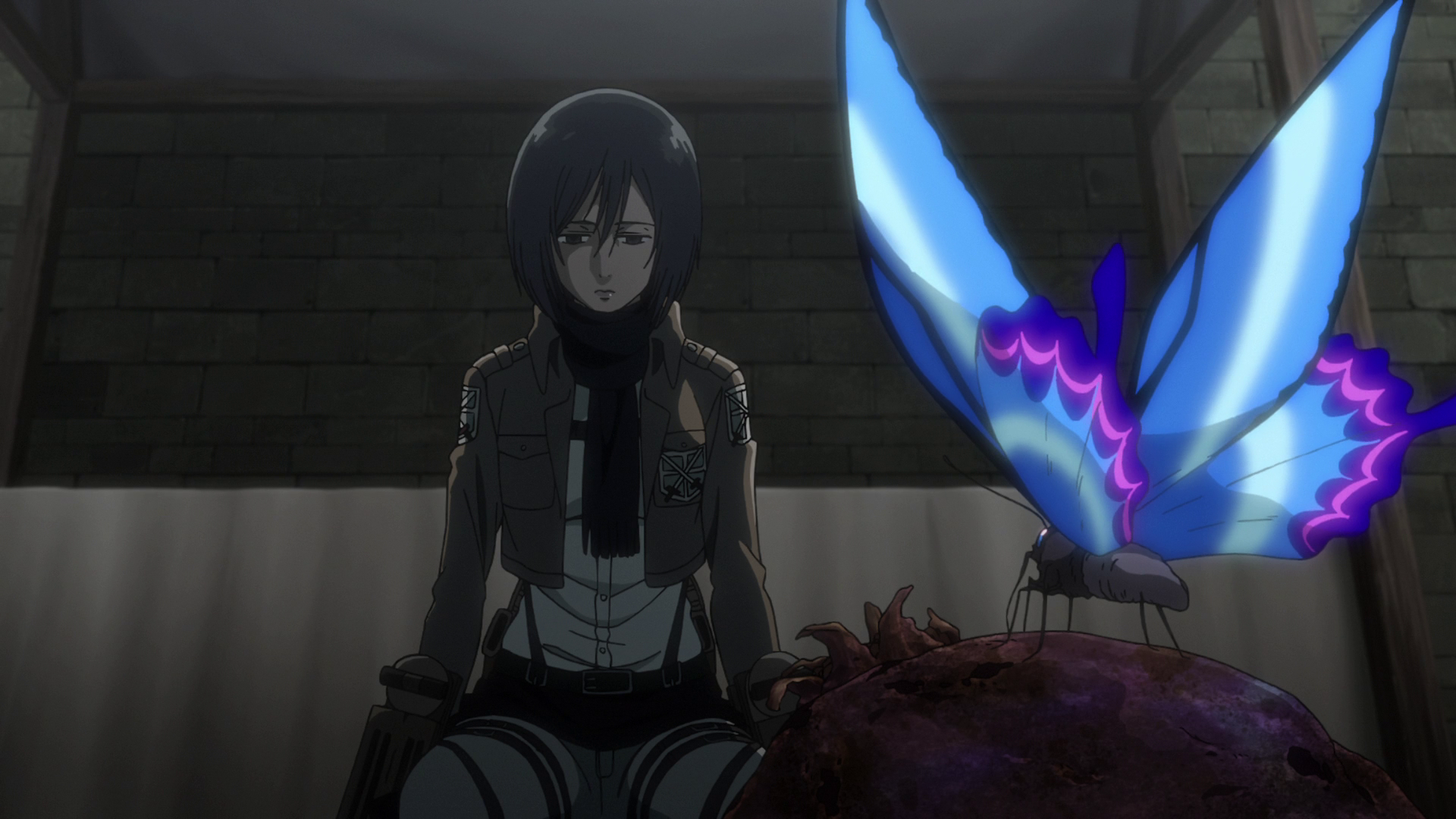 Mikasa Ackerman Abs Ova