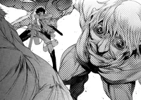 Ogre/Image Gallery | Attack on Titan Wiki | Fandom