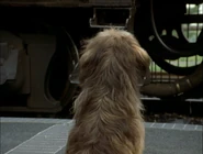 Mutt | Shining Time Station Wiki | Fandom