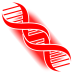 Races | Shindo Life Wiki | Fandom