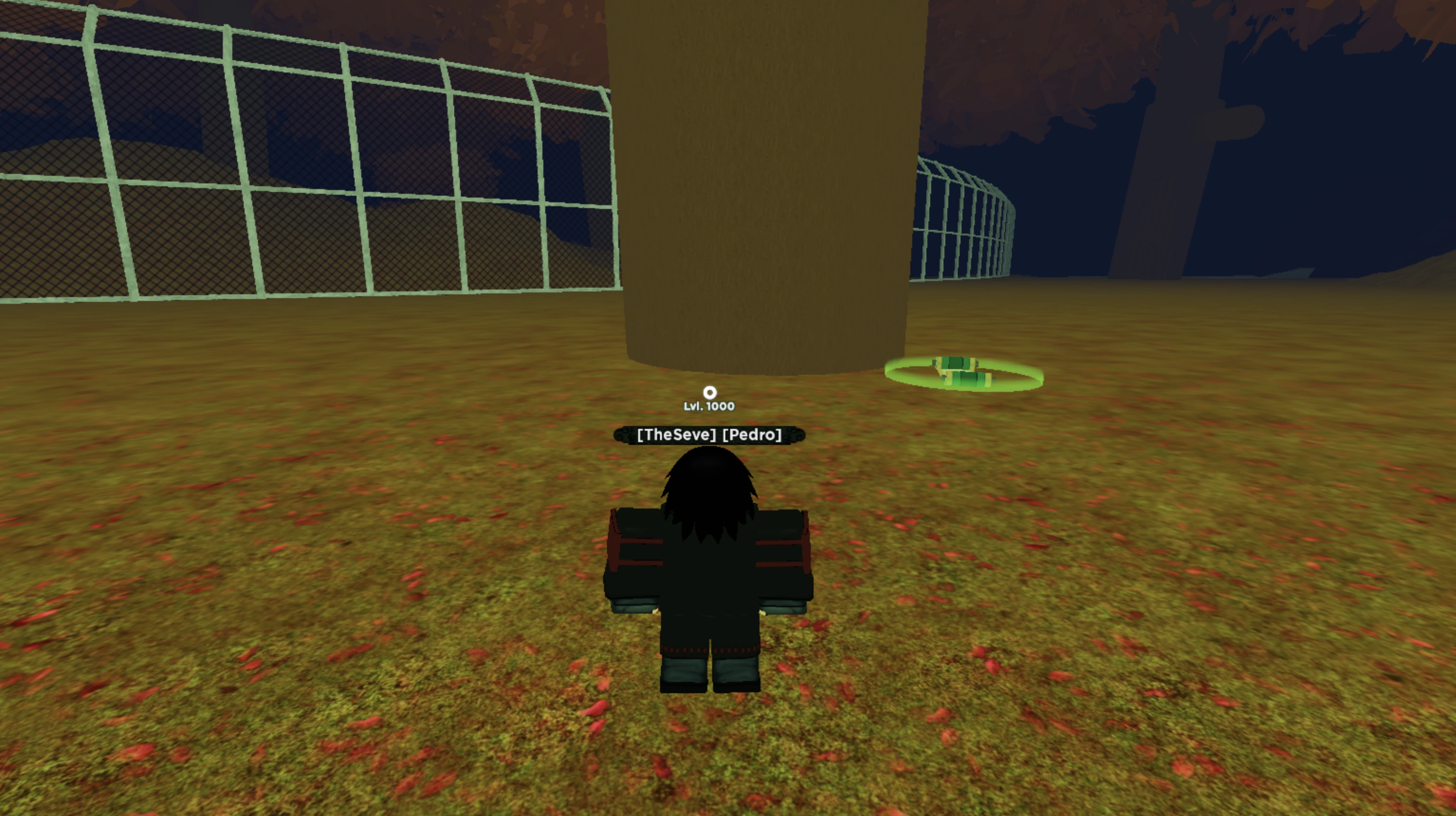 Forest Of Embers Private Server Code