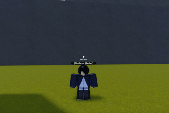 Chi Stim | Shindo Life Wiki | Fandom