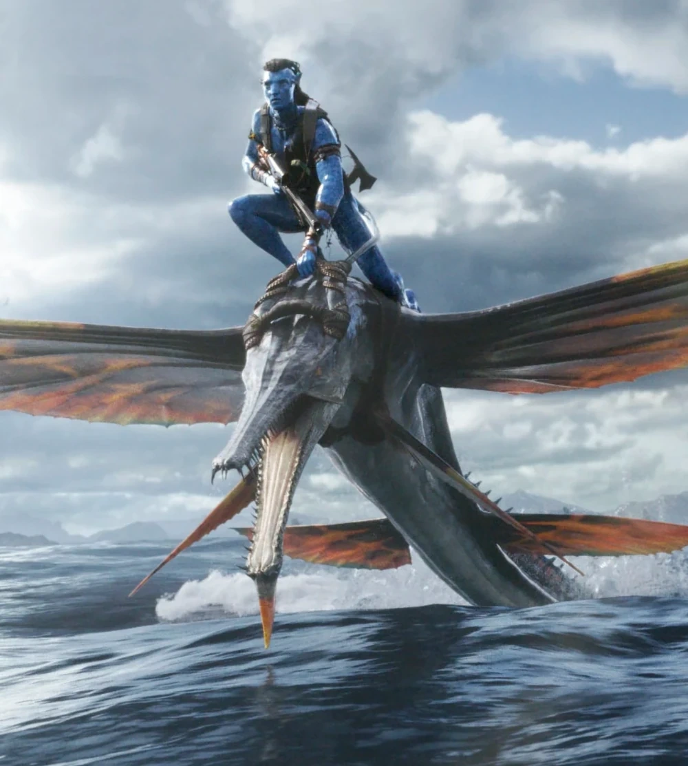 Skimwing | Shinobi of The Sea Wiki | Fandom