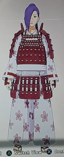 Special Outfits | Shinobi Striker Wiki | Fandom