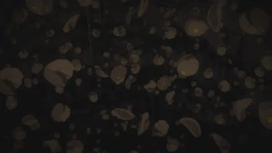 Vampire Slug | Shin Sekai Yori Wiki | Fandom