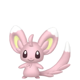 Minccino | Shiny pokemon Wiki | Fandom
