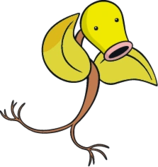Bellsprout | Shiny pokemon Wiki | Fandom