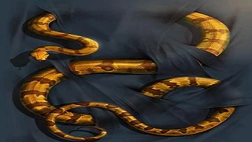 Hebi Hebi no Mi, Model: Boa | One Piece: Ship of fools Wiki | Fandom