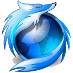 Blue Fox Pirates | One Piece: Ship of fools Wiki | Fandom