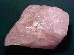 Moru Moru no Mi | One Piece: Ship of fools Wiki | Fandom