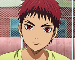 Sabertooth Fannalis | One Piece: Ship of fools Wiki | Fandom