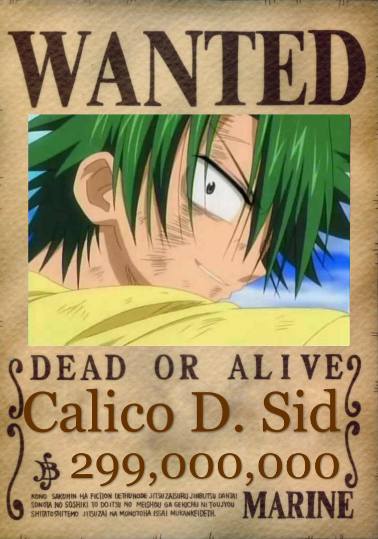 Calico D Sidimage Gallery One Piece Ship Of Fools Wiki Fandom