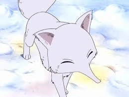 Inu Inu no Mi, Model: Cloud Fox | One Piece: Ship of fools Wiki | Fandom