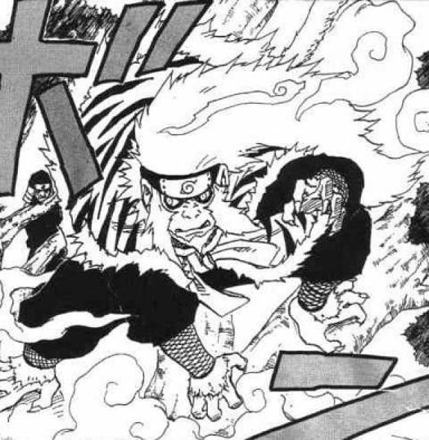 Saru Saru no Mi, Model: Sun Wukong | One Piece: Ship of fools Wiki | Fandom