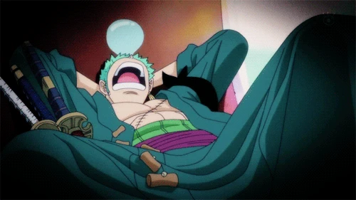 Purity of Sleep | One Piece: Ship of fools Wiki | Fandom