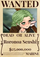 Roronoa Senshi | One Piece: Ship of fools Wiki | Fandom