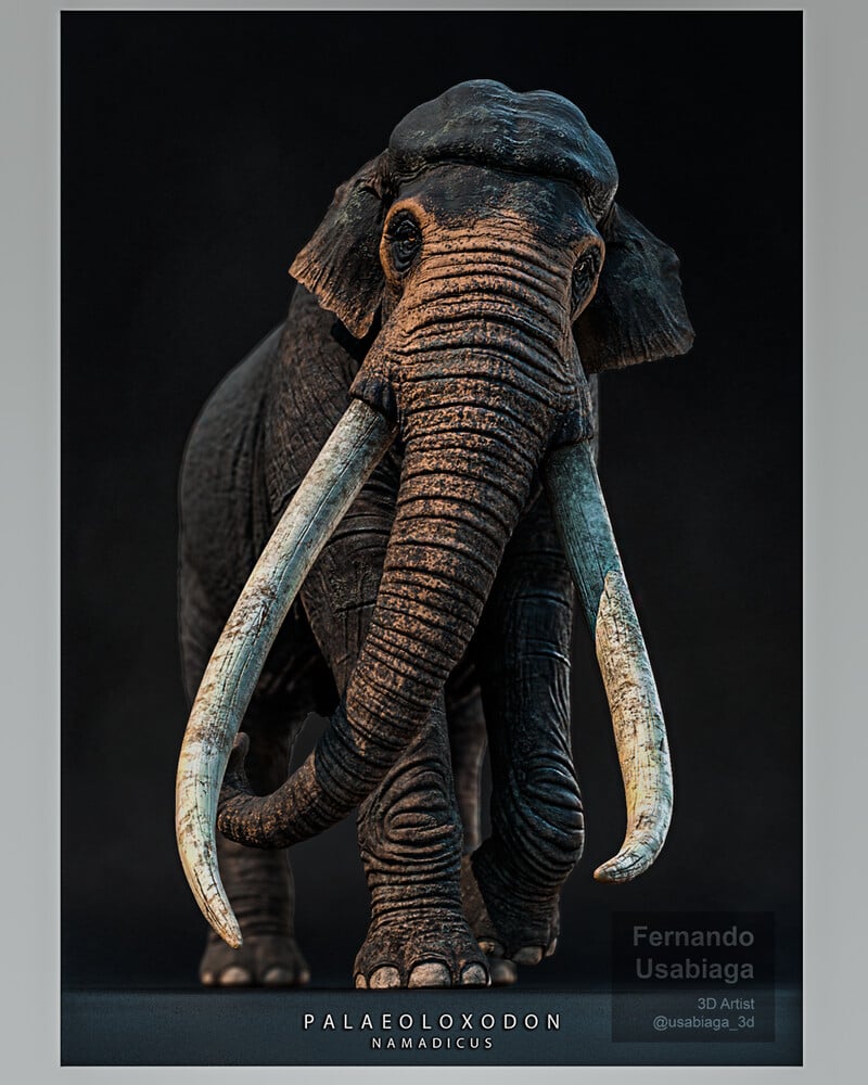 Zou Zou no Mi, Model: Palaeoloxodon | One Piece: Ship of fools Wiki ... Zou Zou no Mi, Model: Palaeoloxodon | One Piece: Ship of fools Wiki ...