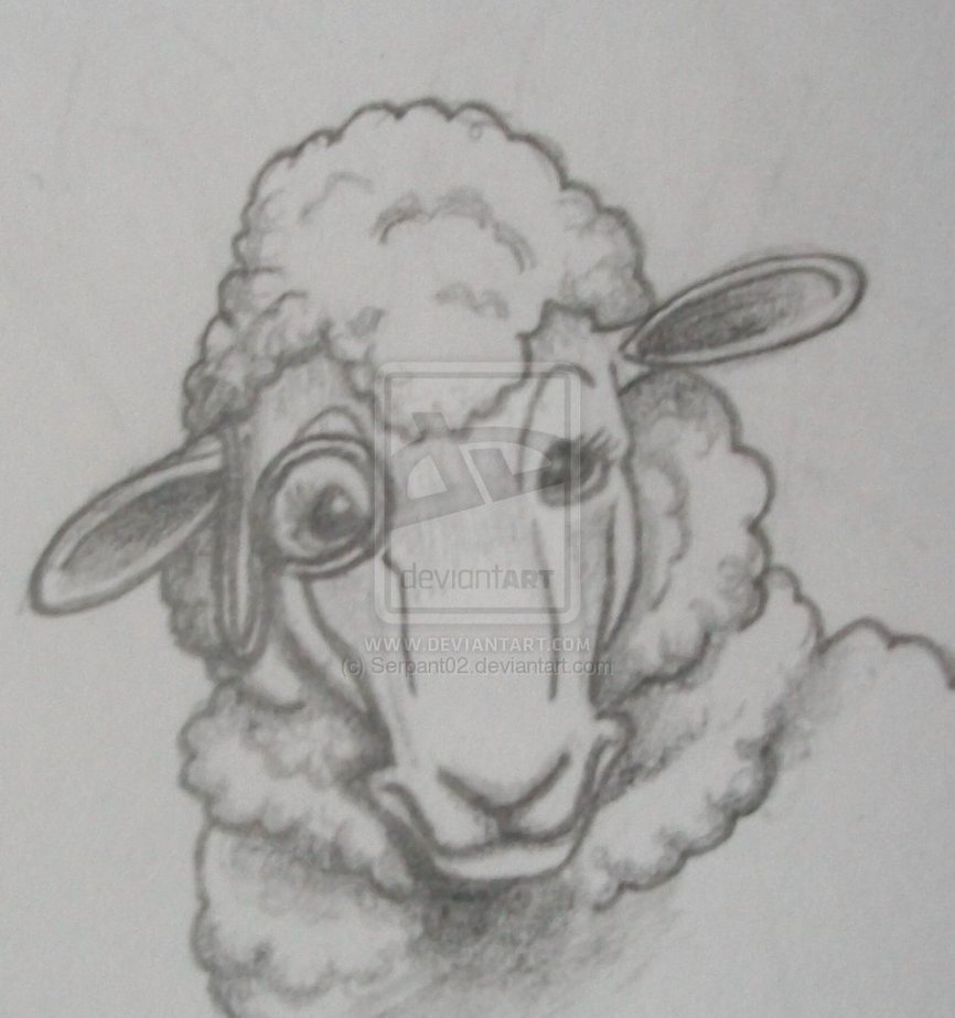 Ushi Ushi no Mi, Model: Hitsuji | One Piece: Ship of fools Wiki | Fandom