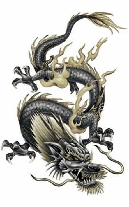 Tatsu Tatsu no Mi, Model: Dilong | One Piece: Ship of fools Wiki | Fandom