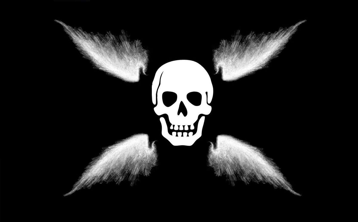 The Seraph Pirates One Piece Ship Of Fools Wiki Fandom